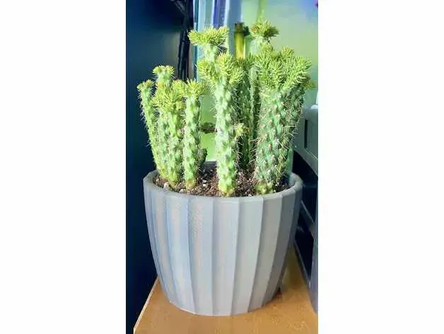 免费其他STL下载 - 花盆 Pot_for_Smaller_Plants - FDM-模型搬运工